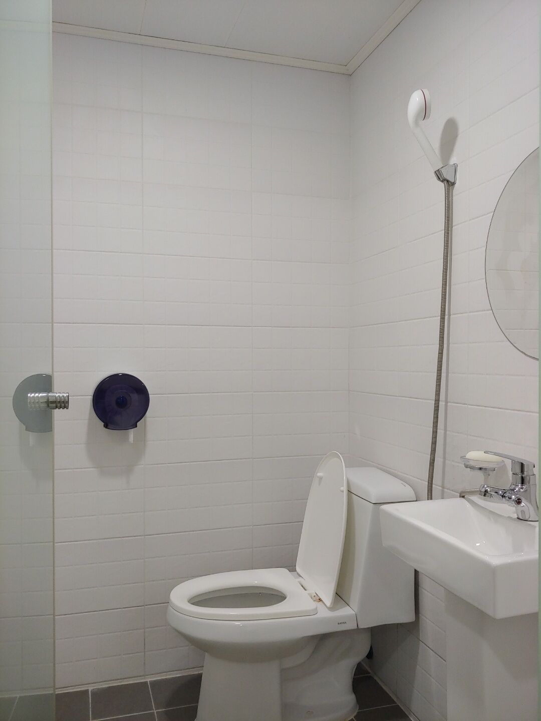 Uma casa de banho com sanita branca, lavatório e chuveiro.