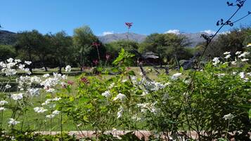 Um jardim com flores brancas, folhagem verde, um caminho de tijolos e uma montanha ao fundo.