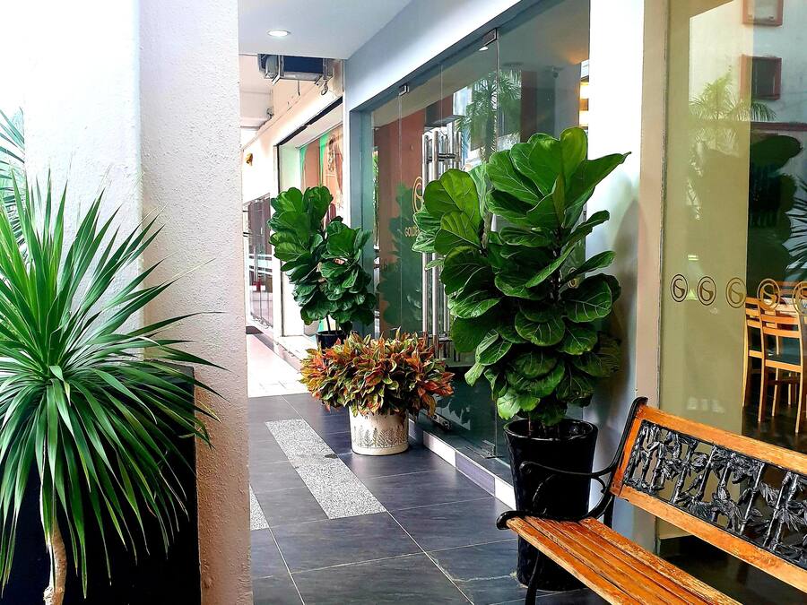 Pormenores do exterior