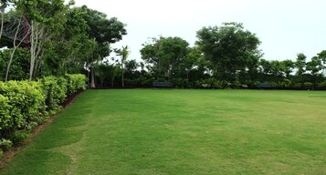 Um campo gramado com um caminho que leva a um banco, rodeado por vegetação densa e árvores.