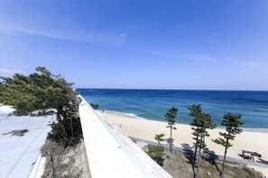 Uma praia com areal, céu azul límpido e algumas árvores.