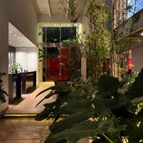 Uma área de recepção interna com porta de vidro, plantas em vasos e balcão de atendimento.