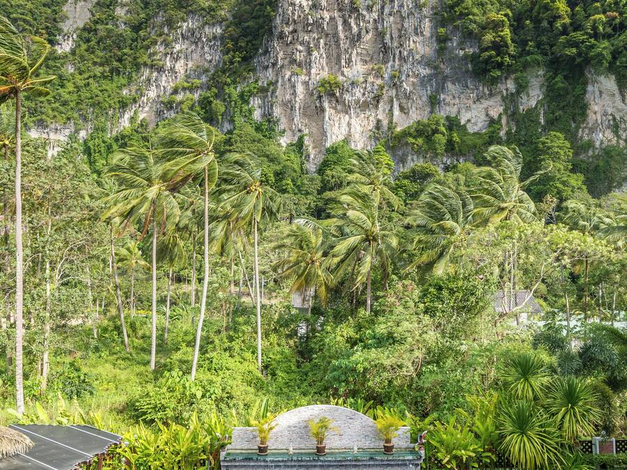 Vista da propriedade