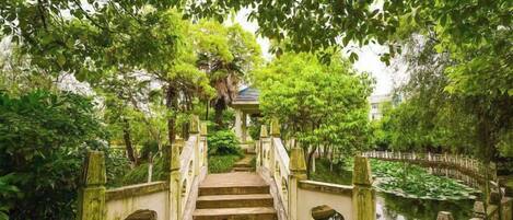 Área da propriedade