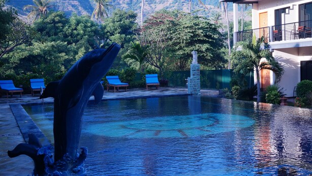 Piscina com escultura de golfinho, cercada por espreguiçadeiras azuis e vegetação exuberante.