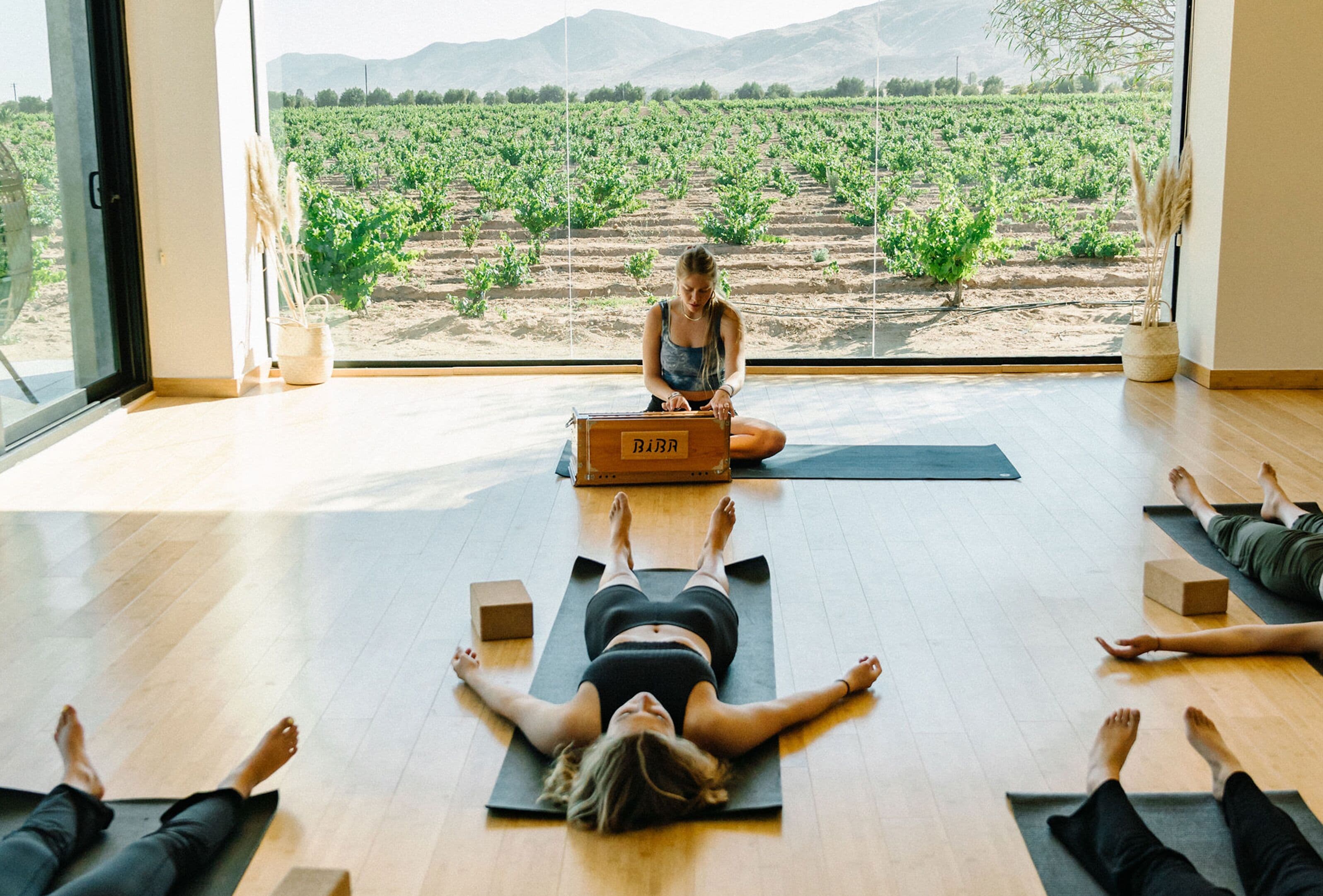 Aula de yoga em sala com janelas amplas com vista para um vinhedo.