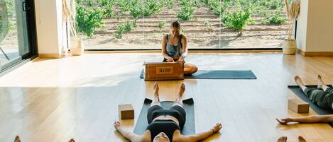 Aula de yoga em sala com janelas amplas com vista para um vinhedo.