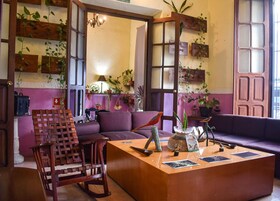 Uma sala de estar aconchegante com uma mesa de centro de madeira, sofás roxos e vários vasos de plantas.
