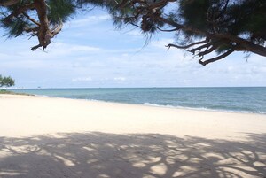 Vista da propriedade