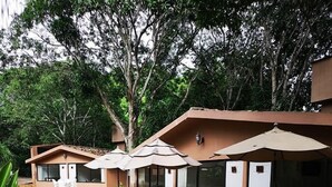 Um edifício moderno com áreas de estar ao ar livre, protegidas por guarda-sóis, rodeado por vegetação exuberante.