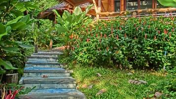 Terrenos do alojamento