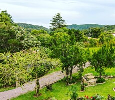 Um jardim com um caminho pavimentado, várias árvores e um banco.