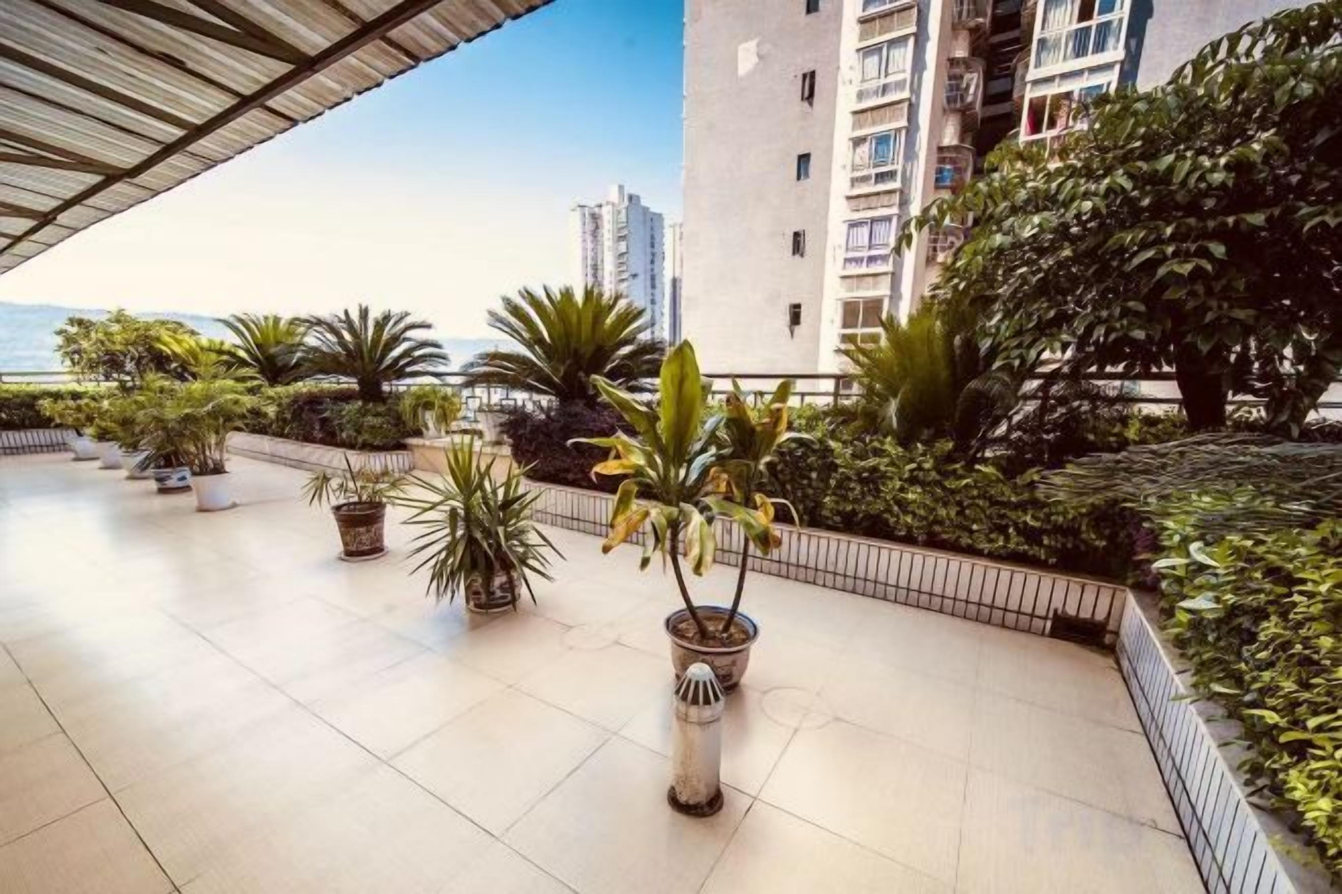 Terraço no telhado com plantas em vasos e vista da cidade.
