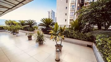 Terraço no telhado com plantas em vasos e vista da cidade.