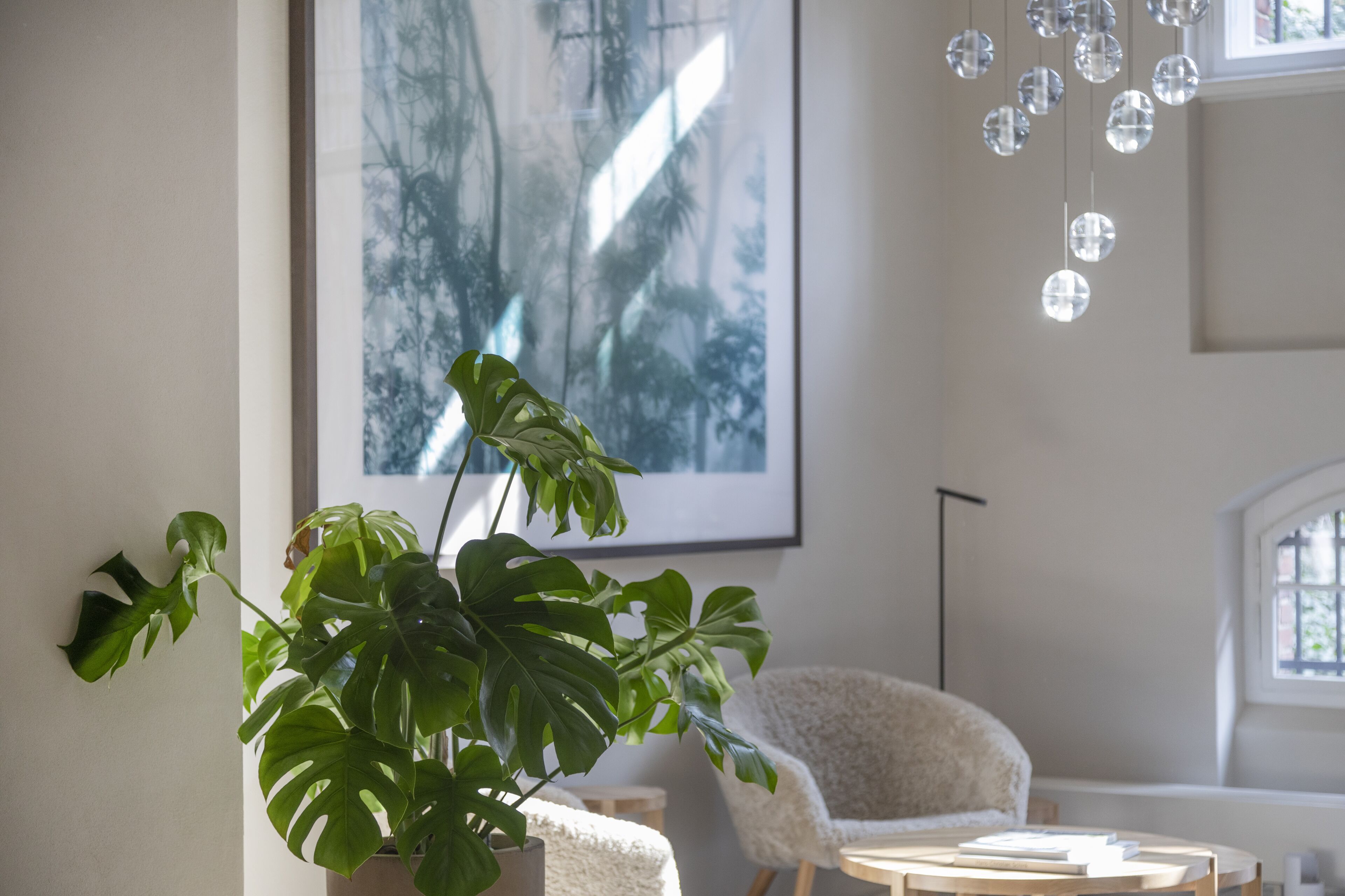 Quarto com uma planta grande, uma obra de arte emoldurada, uma cadeira branca e um lustre.
