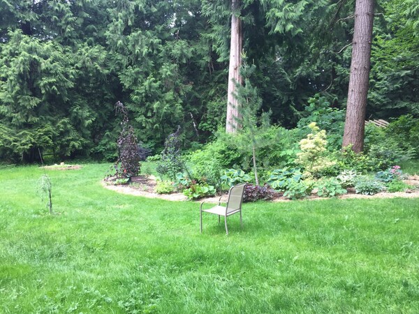 Forest Meadow Suite - Modern, Quiet, Central Location. - Comox