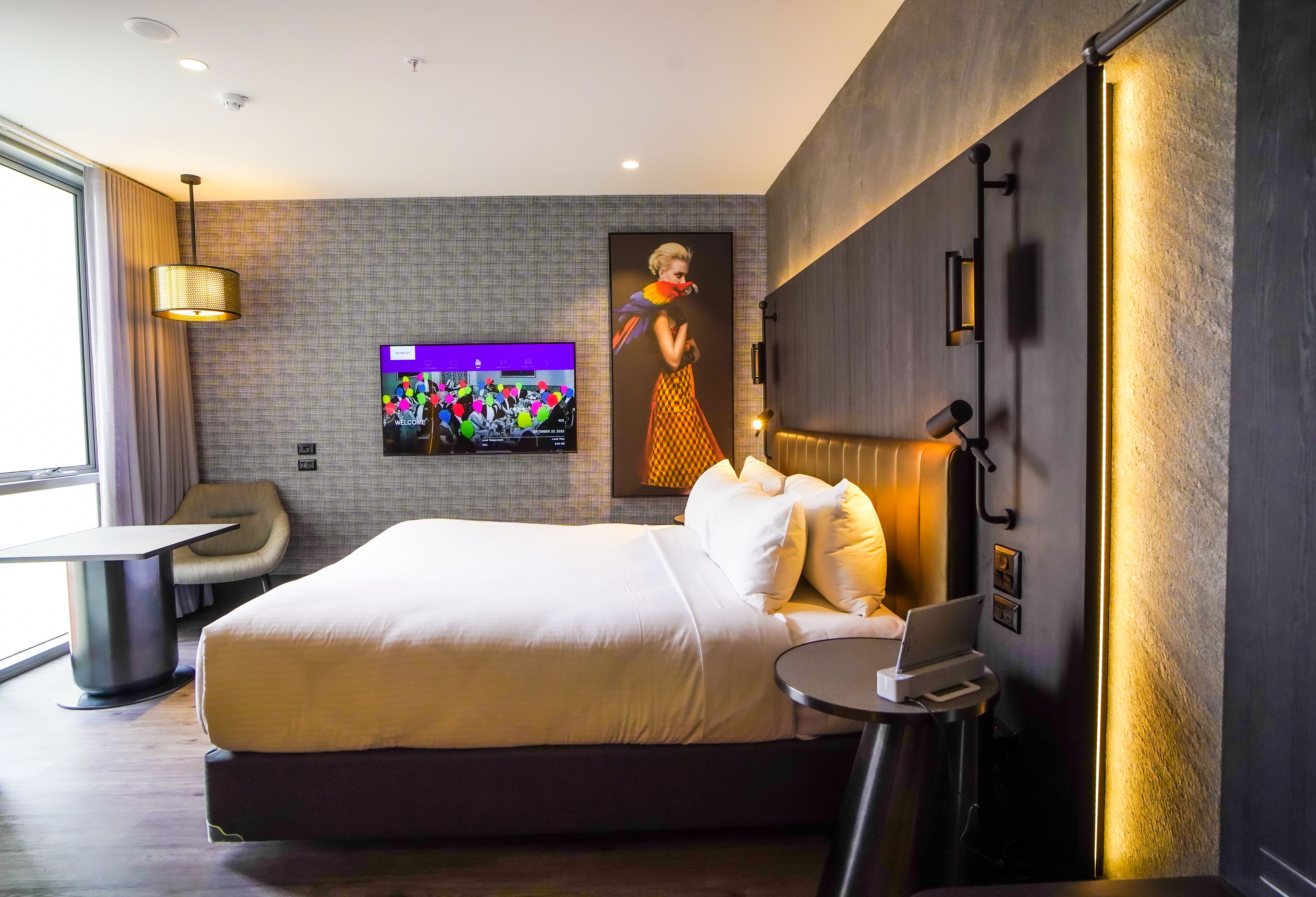 The Motley Hotel (Melbourne, Australia), Melbourne hotel discounts ...