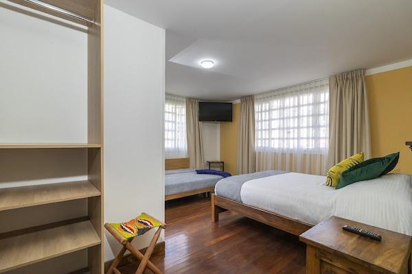 Quarto triplo | Roupas de cama premium, edredons de pluma, cortinas blackout