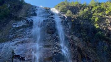 Uma cascata despencando por um penhasco rochoso, rodeada por vegetação densa.