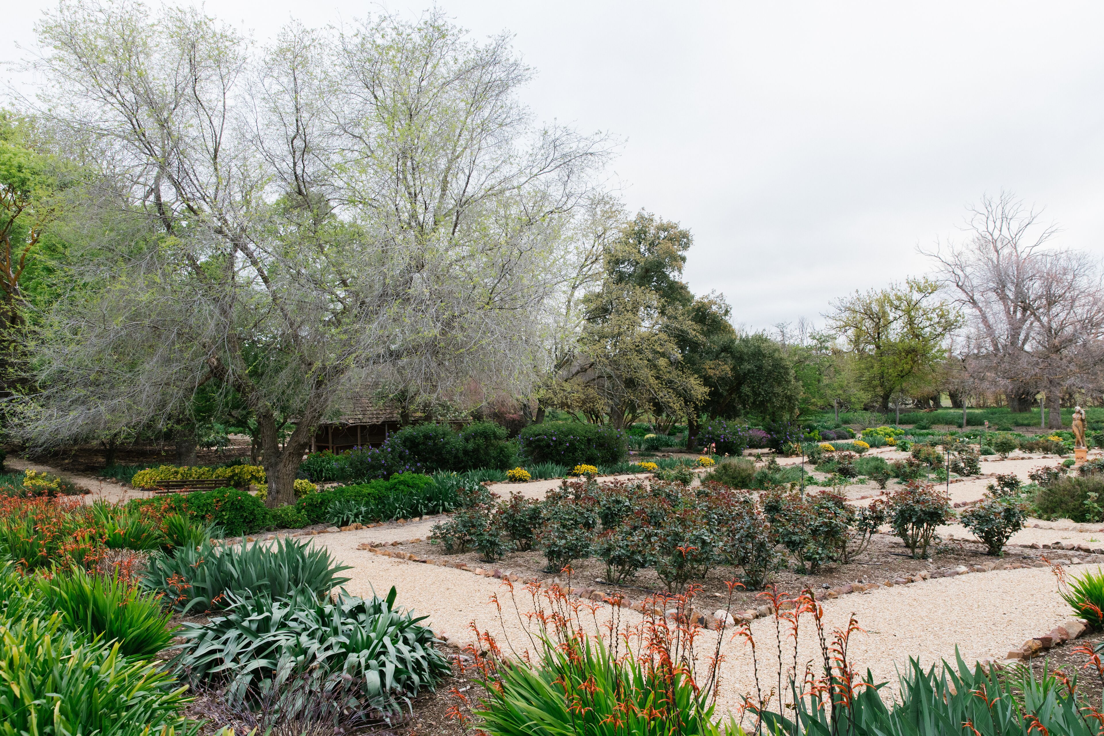 Um jardim ajardinado com diversas plantas e árvores.