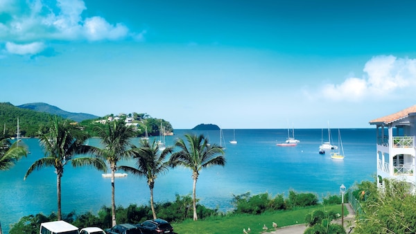 Kaouanne - Martinique