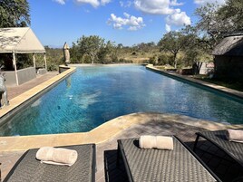 Piscina com espreguiçadeiras e área coberta.