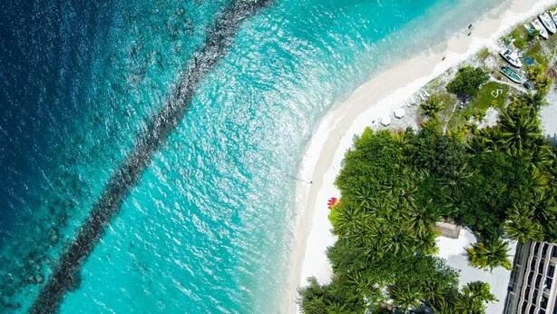 Vista aérea de uma praia com águas turquesa cristalinas, areia branca e vegetação exuberante.