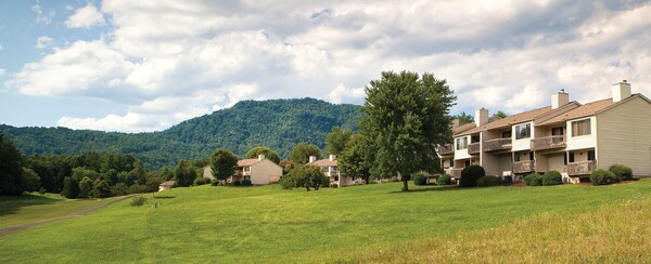 Mountain Loft Resort - Lake Lure, NC