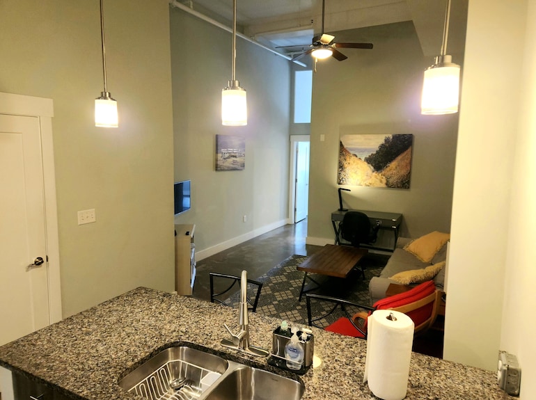 402 Heart Of The Arts In Downtown Rva Near Mcv Vcu Convention Center - Richmond, VA