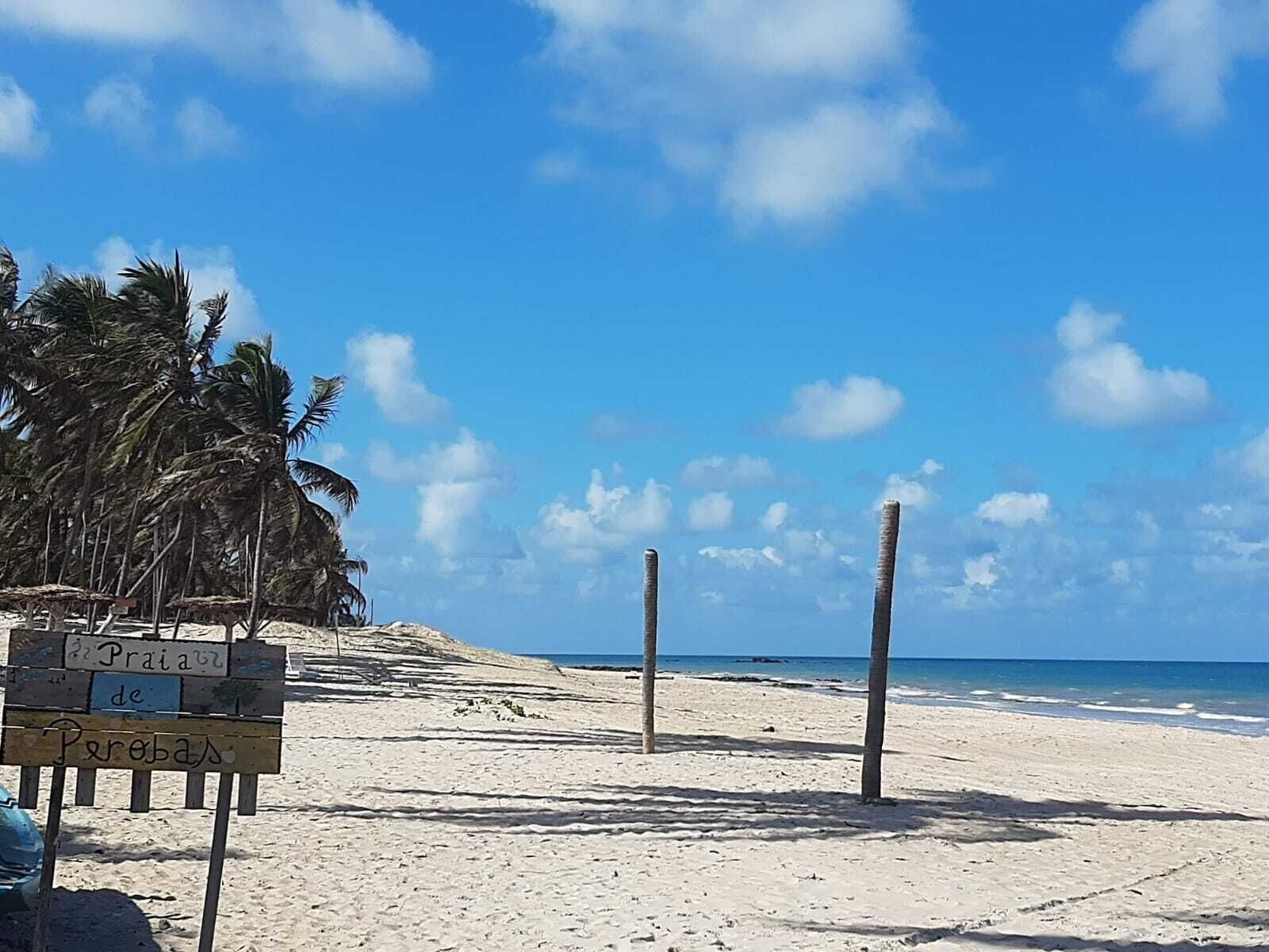 Uma praia com uma placa de madeira, palmeiras e o oceano.