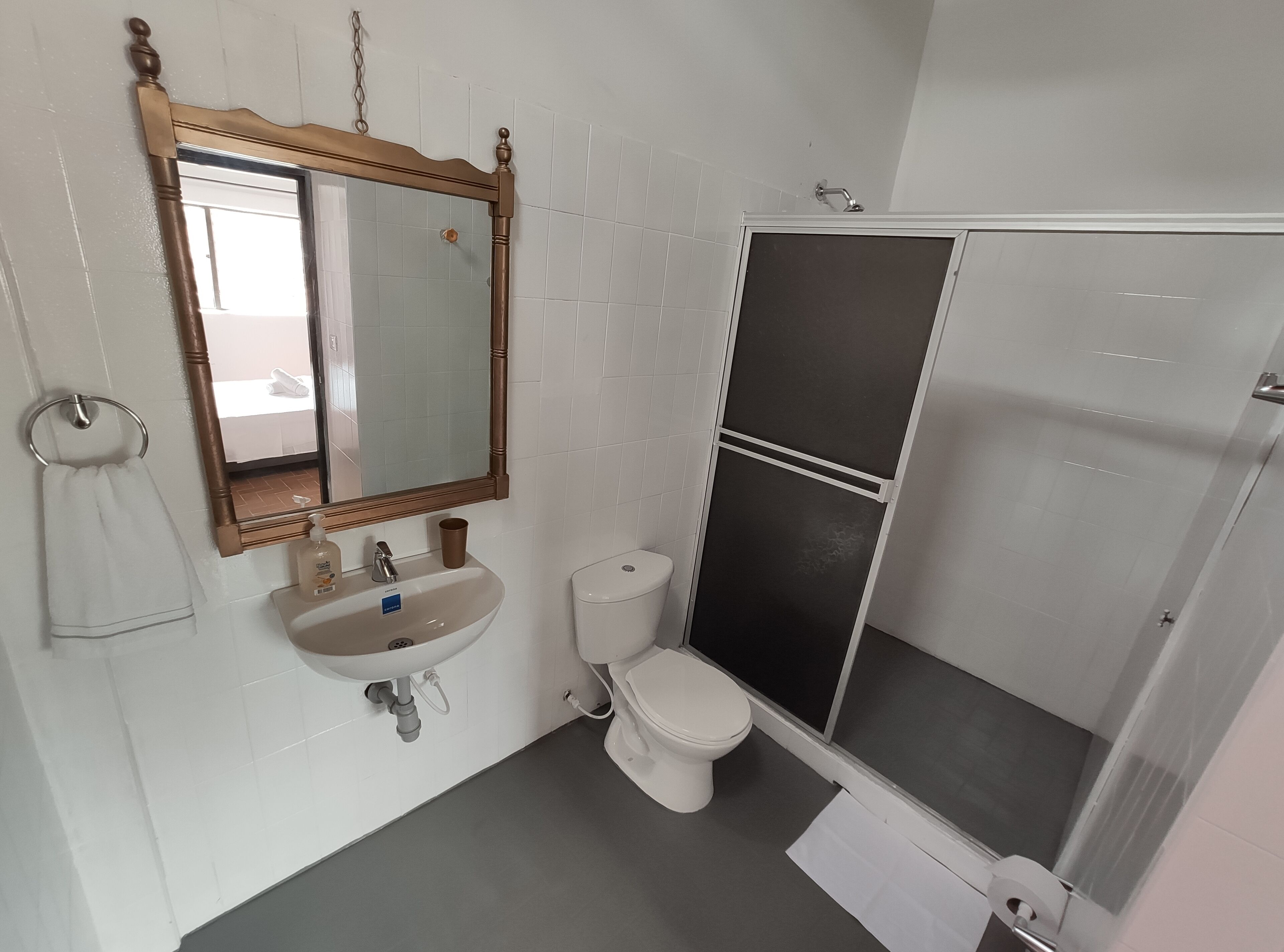 Uma casa de banho com espelho emoldurado a madeira, lavatório branco, sanita e cabine de duche com vidro.