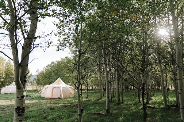 Starlight Retreat Yellowstone - Island Park, ID