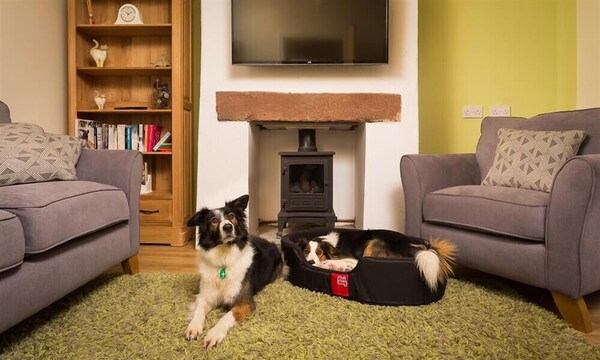 The Cats Bield - Keswick