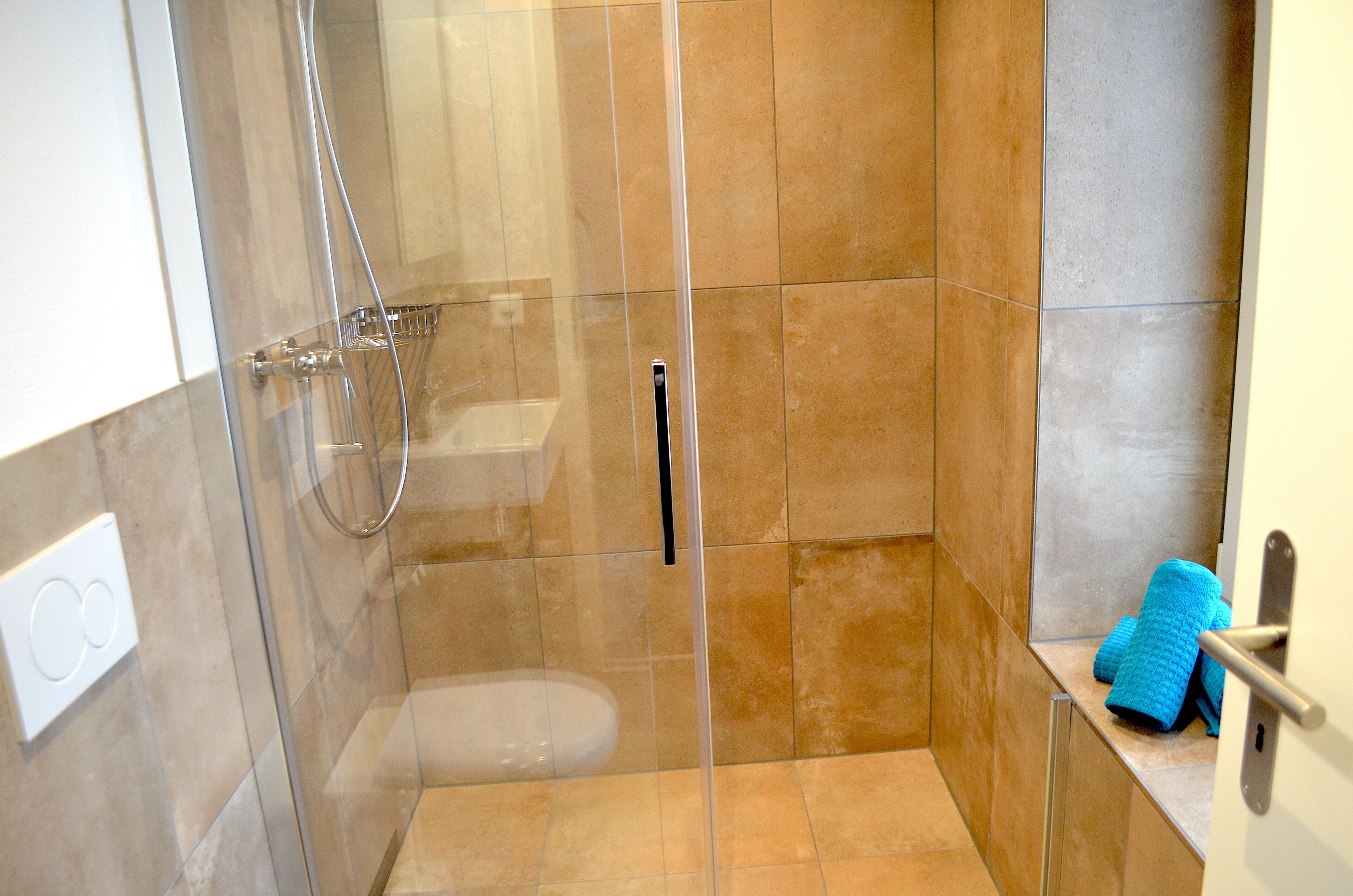 Um chuveiro com porta de vidro, um porta-toalhas com uma toalha e um vaso sanitário visível através do vidro.