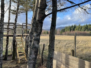 Casa de Campo | Terrenos do alojamento