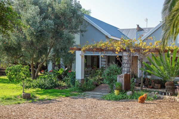 06 On Burger - De Rust