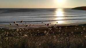 Cena de praia com o sol se pondo sobre o oceano, ondas suaves beijando a costa e um campo de gramíneas altas em primeiro plano.