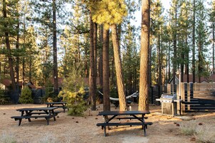 Um camping com mesas para piquenique, churrasqueira e rede.
