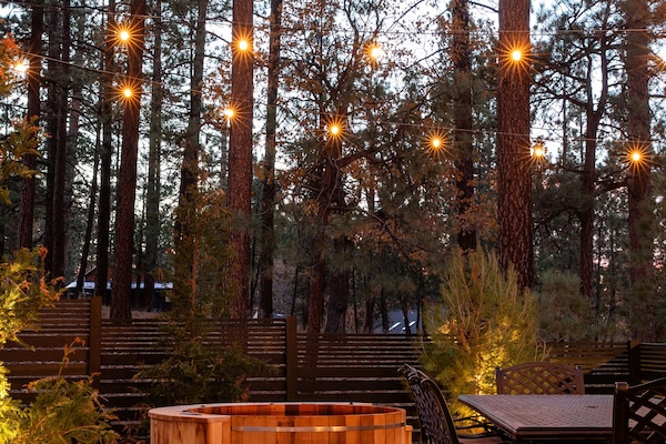 Orville's Lodge | Terraço/pátio interior