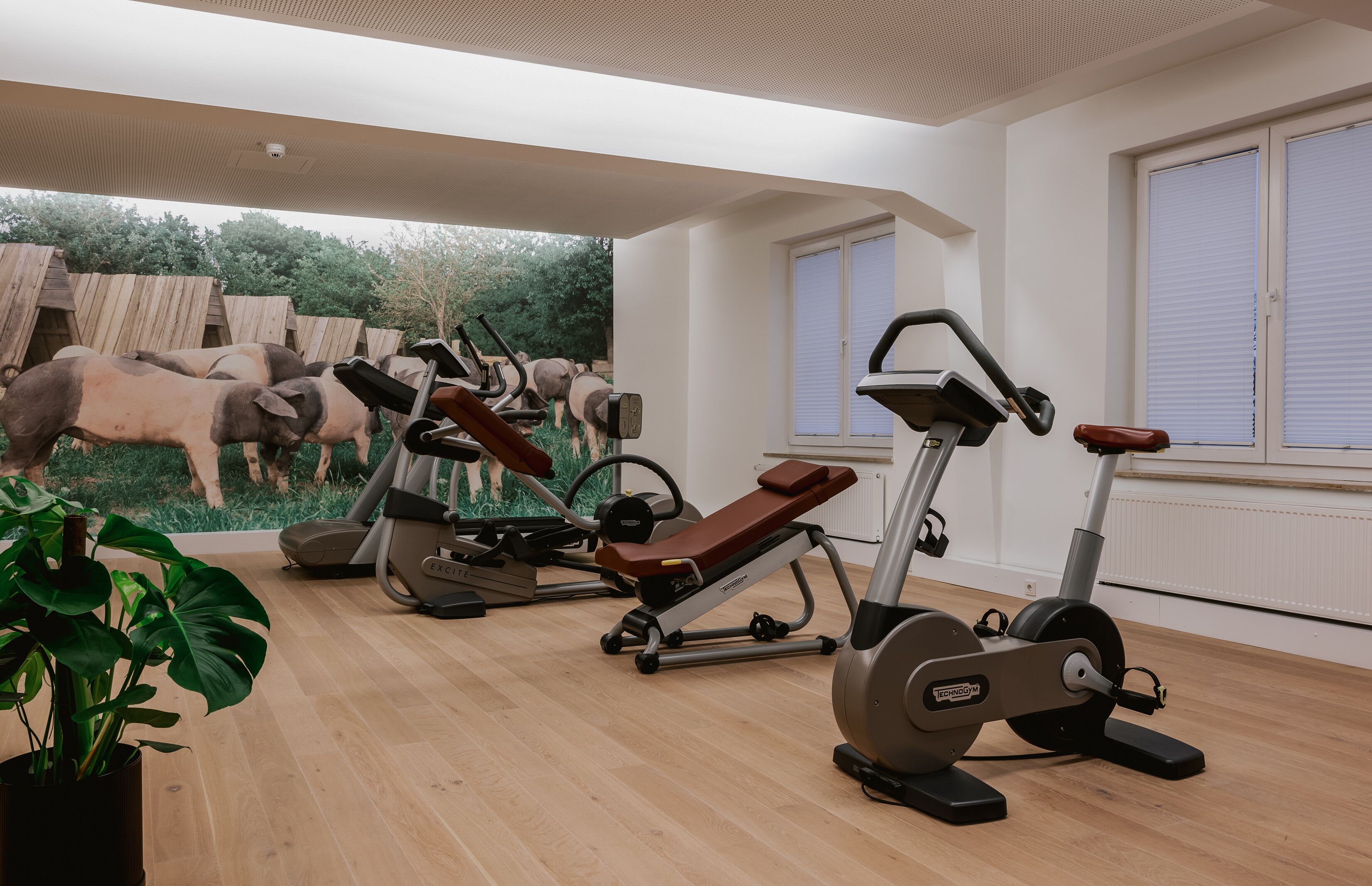 Uma academia com bicicletas ergométricas e esteira, uma janela ampla e vista para uma estrutura de madeira com esculturas de porcos.
