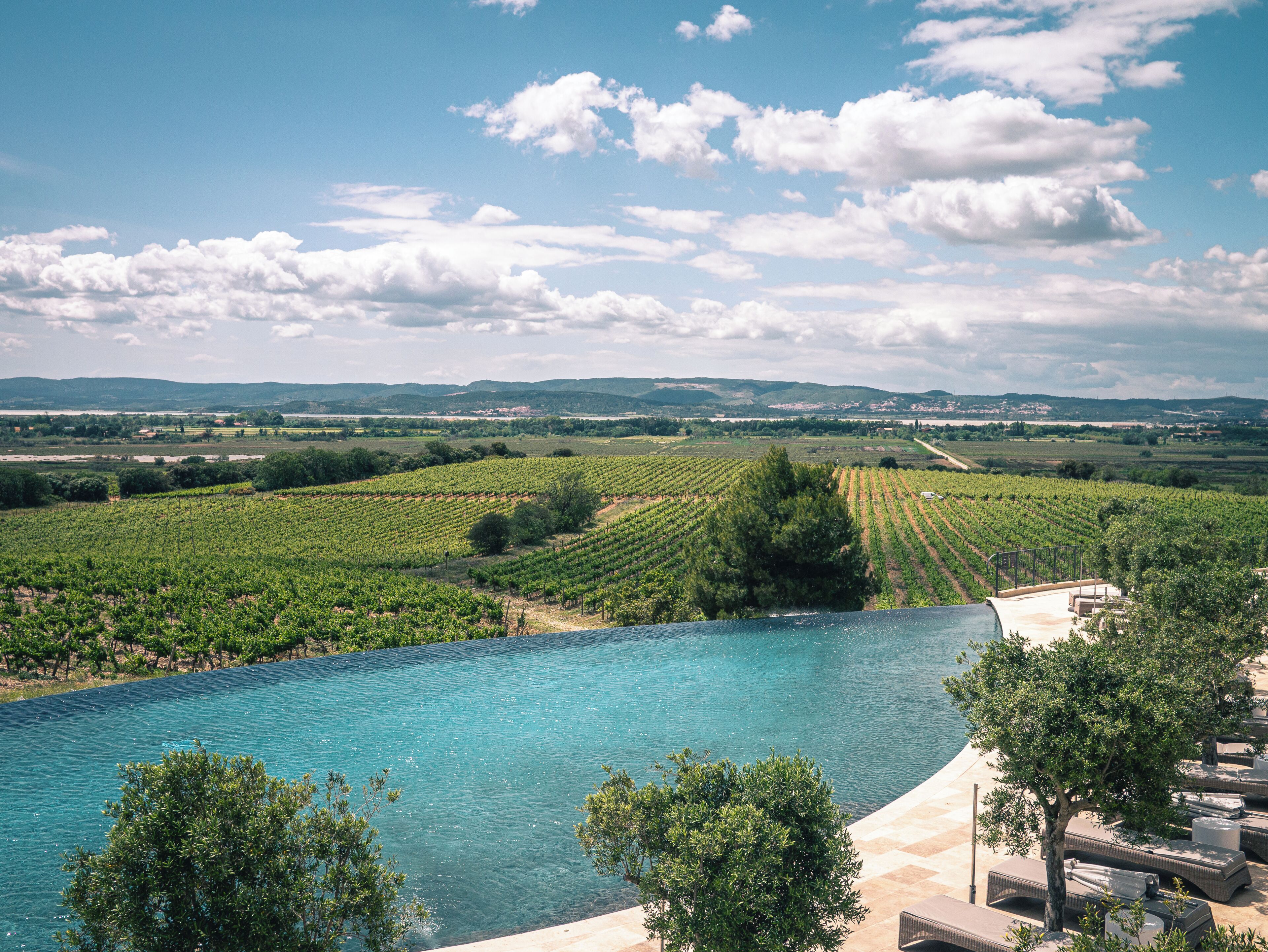 Piscina com vista para vinhedo, área de estar externa e céu claro.