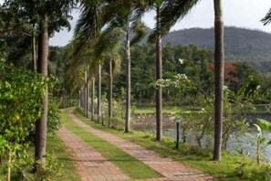 Quarto premium, vista parcial para o lago | Frigobar, cofres nos quartos, escrivaninha