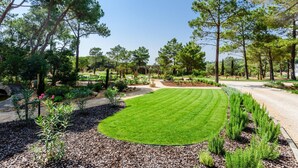 Um jardim bem cuidado com gramado, árvores e uma pérgula.