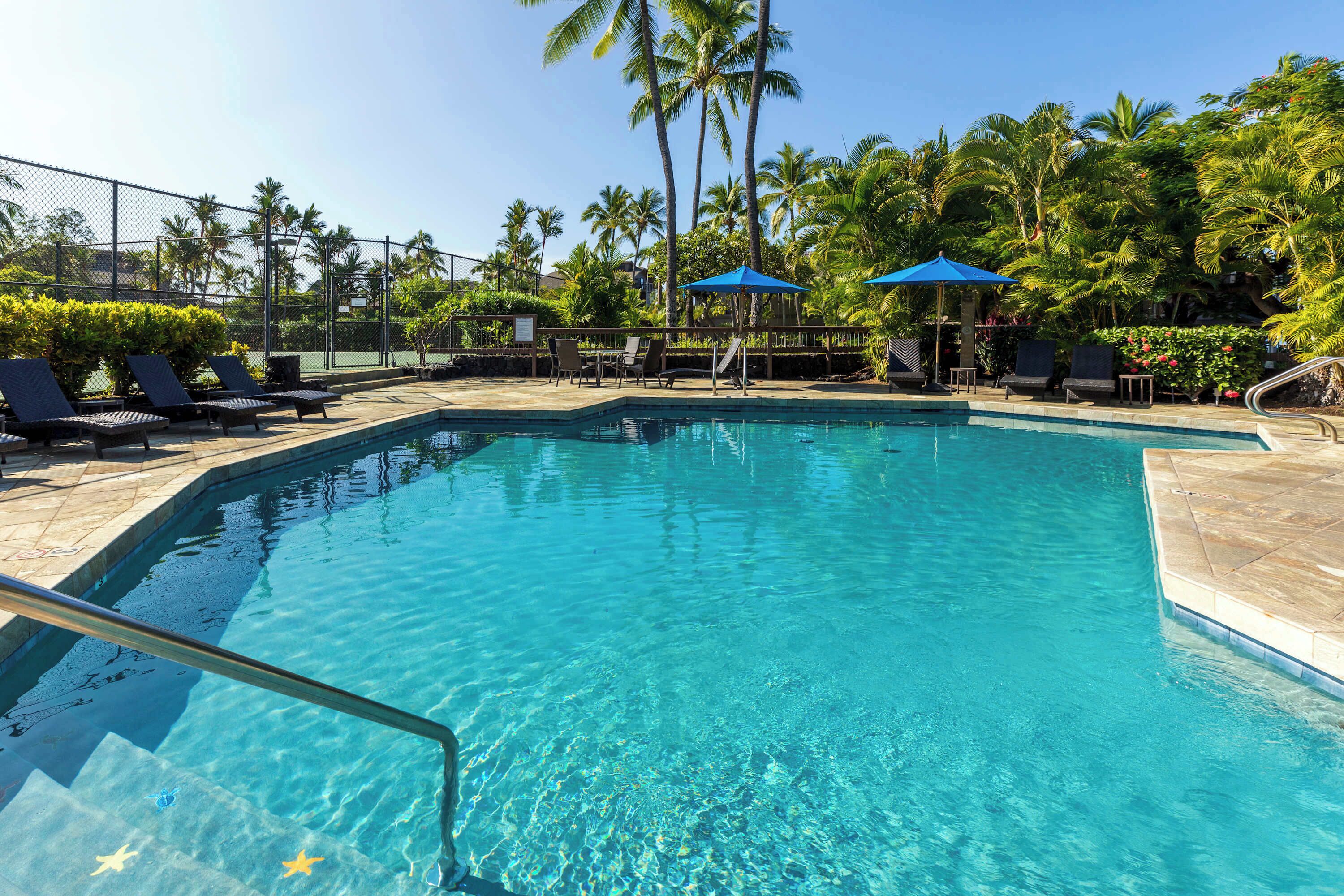 Piscina azul límpida com cadeiras de lounge e guarda-sóis, cercada por palmeiras e uma cerca.