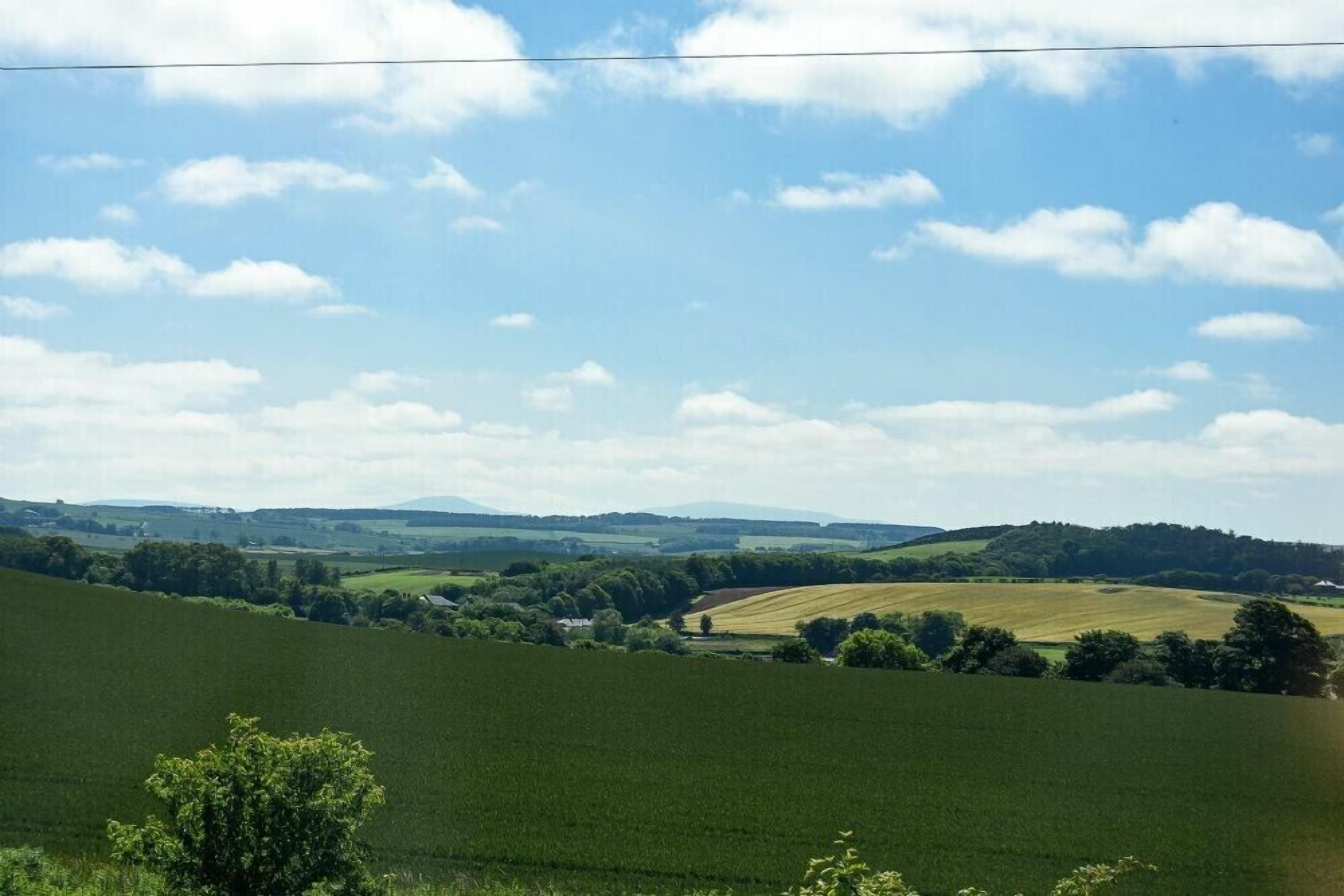 Paisagem rural com colinas ondulantes, campos e árvores dispersas sob um céu claro.