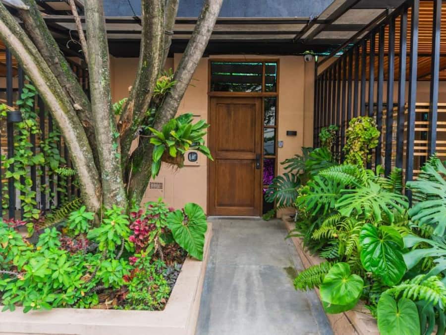 Caminho que leva a uma porta de madeira com uma caixa de correio, cercado por plantas tropicais exuberantes e uma grade de metal.