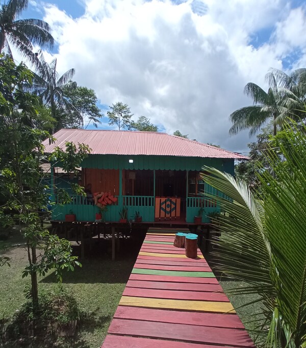 Hostal Búho Amazonas Tours - Hostel - Amazonas