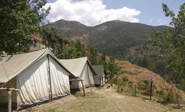 Hidden Valley Camp - Pangoot