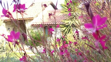 Jardim