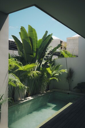Uma área de piscina moderna ao ar livre, com vista desimpedida do céu, rodeada por vegetação tropical exuberante.
